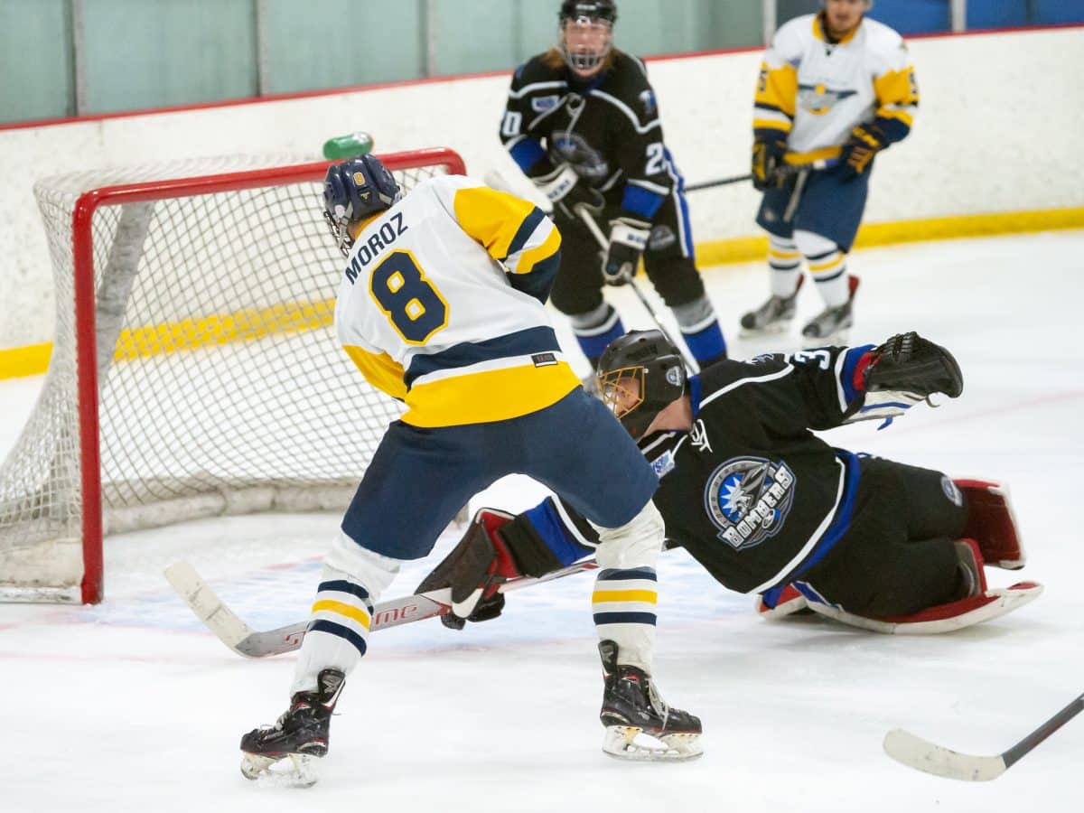 The Trapezoid in Hockey - What Is the Trapezoid in the NHL? - Big Shot ...